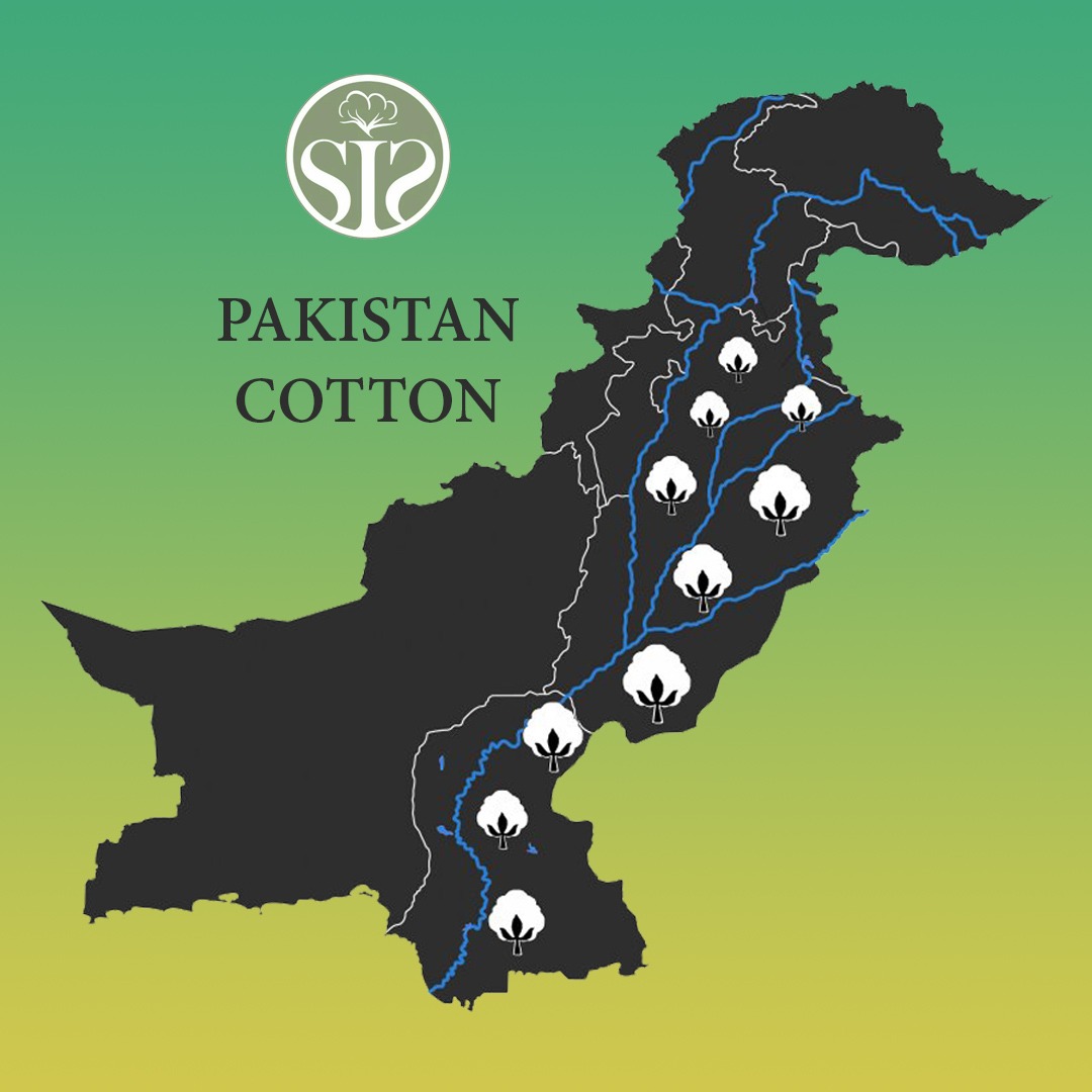 A look at Pakistan's cotton business